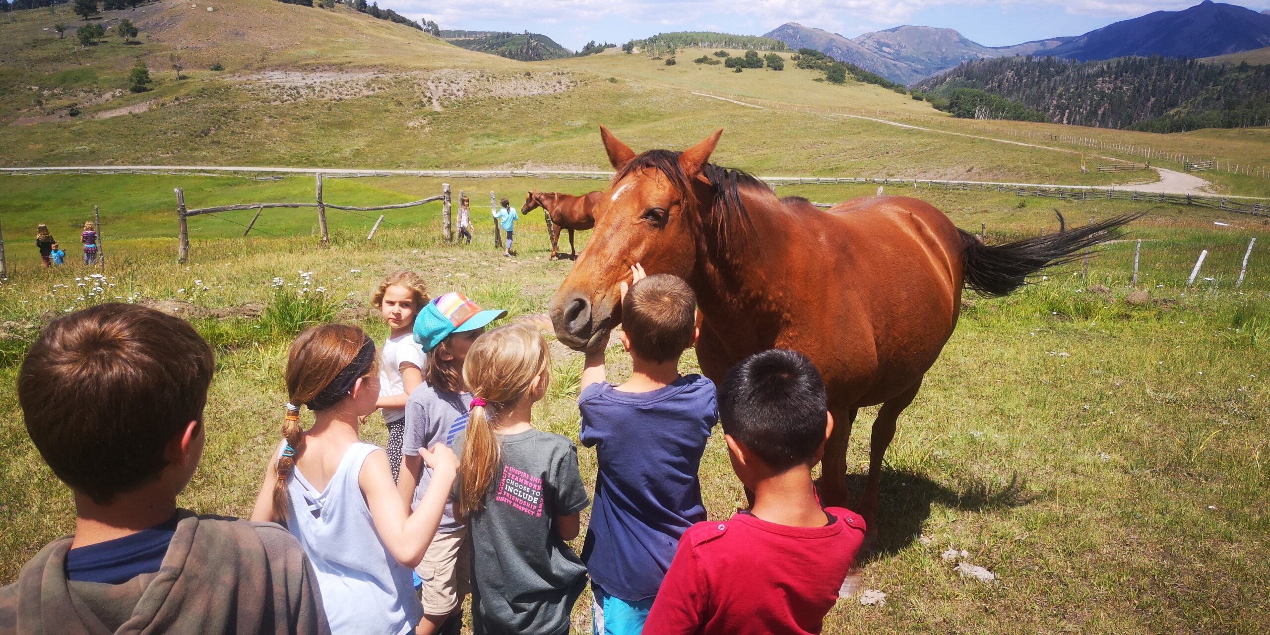 Farm Fiesta | Telluride Academy