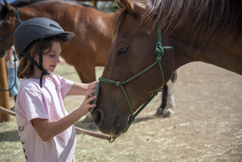 Barnyard Bonanza | Telluride Academy